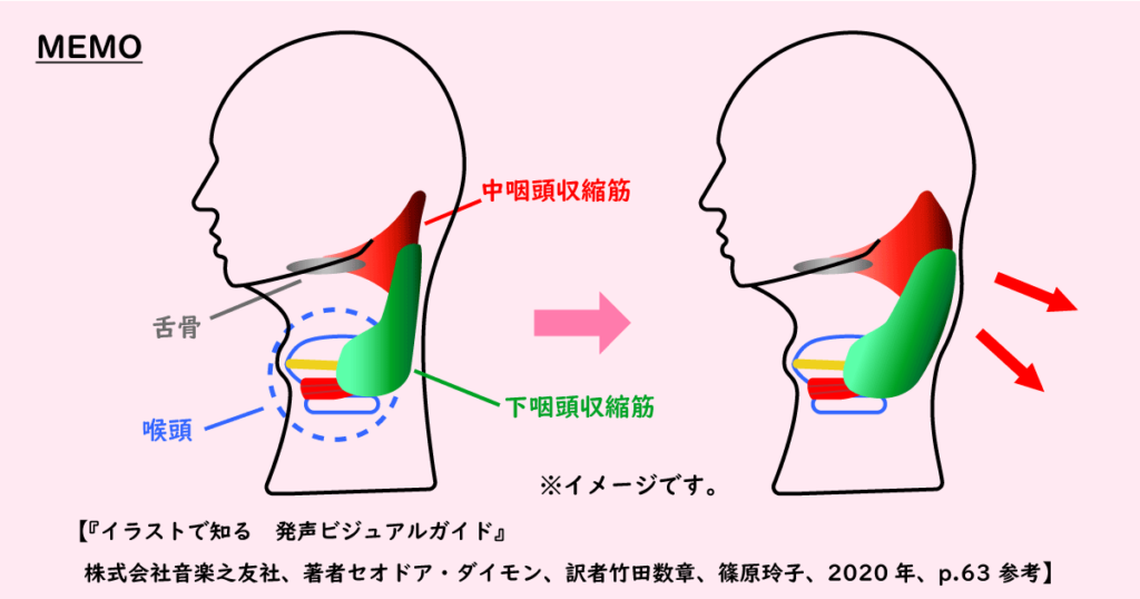 歌唱中に 喉を開く”とは？方法や感覚が分からない方へ！